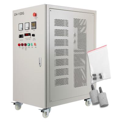 China New product 50g with fan 110v transformer ferrite core power supply ozone generator for water and air for sale