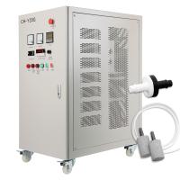 China In stock gas ozone generators portable 100g ozonizer for vegetables and fruits for sale