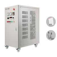 China In stock gas ozone generators portable 100g ozonizer for vegetables and fruits for sale