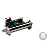China High quality water cooling enamel ozone generator tue CH-PC80G ozone spare parts for sale