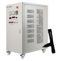 China New product diffuser and air water plant ozone genrator 40g 50g 60g warer purifier equipment for drinking swimming w for sale