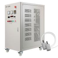 China New product diffuser and air water plant ozone genrator 40g 50g 60g warer purifier equipment for drinking swimming w for sale