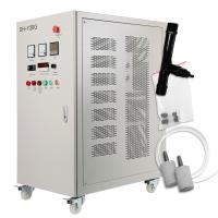 China New product diffuser and air water plant ozone genrator 40g 50g 60g warer purifier equipment for drinking swimming w for sale