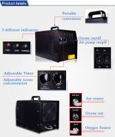 China Electrical hotel o3 generator ozone generator for better environment for sale