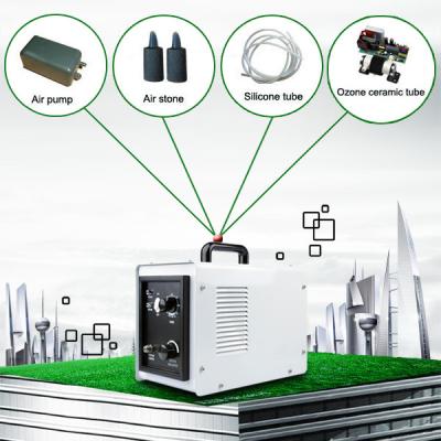 China Portable Hotel Ozone Machine For Air Purifier And Water Treatment 3g 5g for sale