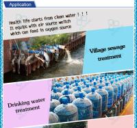 China Small Hotel Room Pool /  Well Water / Drinking Water Ozone cleanr for sale