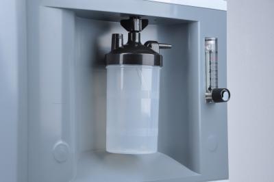 China 3LPM 5LPM 220V Portable Oxygen Generator Health Care Home Use 220V 50Hz for sale