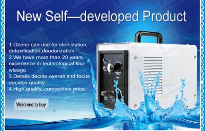 China 110V 5g Commercial Ozone Generator ceramic tube for washing vegetables for sale