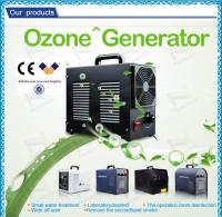 China Fruits Treatment Room Ozone Generator 3g 5g , portable ozone machine for sale