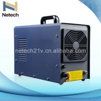 China Vegetables Portable Ozone generator 3g 5g 6g for cleaning fruits for sale