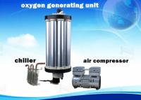 China Industrial Twelve Tower Oxygen Concentrator Parts 5L 10L Oxygen Molecular Sieve for sale