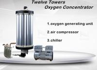 China 3 - 15 LPM Twelve Tower Oxygen Concentrator Repair For Ozone Generator Assemble for sale