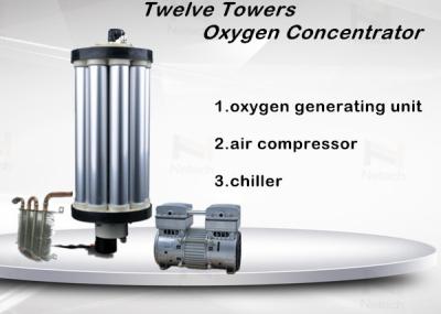 China 3 - 15 LPM Twelve Tower Oxygen Concentrator Repair For Ozone Generator Assemble for sale