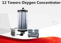 China 3 - 15 LPM Twelve Tower Oxygen Concentrator Repair For Ozone Generator Assemble for sale