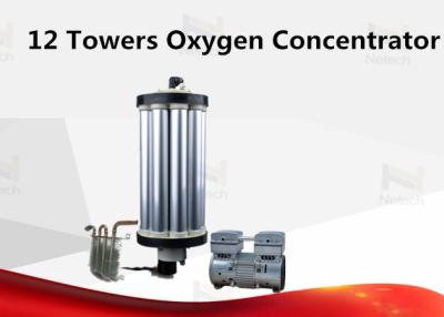 China 3L 5L 10L Industrial PSA Oxygen Machine Oxygen Concentrator Spare Parts Stable for sale