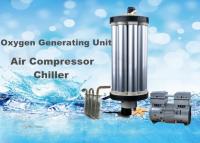 China 3LPM - 15LPM Molecular Oxygen Concentrator Parts Oxygen Concentrator Repair for sale