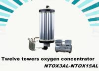 China Oxygen Source Ozone Generator For Industry Wastewater Treatment O2 Concentrator for sale