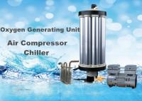 China Oxygen Source Ozone Generator For Industry Wastewater Treatment O2 Concentrator for sale