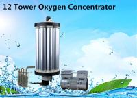 China 3L -15L PSA Oxygen Concentrator Repair Oxygen Molecular Sieve For Oxygen Increase for sale