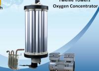 China 3LPM - 15LPM Molecular Oxygen Concentrator Parts Oxygen Sieve for sale