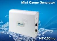 China While Mini 100mg Commercial Ozone Generator For Remove Smoke / Air Purifier 9W for sale