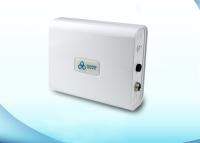 China 110V 220V 100mg Mini Ozone Generator Ozone Machine For Car Air Purifier for sale