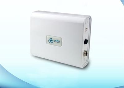 China 110V 220V 100mg Mini Ozone Generator Ozone Machine For Car Air Purifier for sale