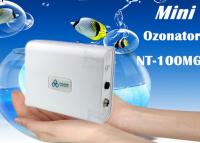 China Portable Ionizer Generator Commercial Ozone Generator cleanion Clean Room for sale