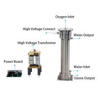 China High quality 100g Ozone generator for water treatment for sale