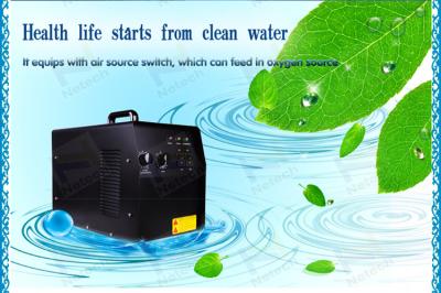 China Long life air and water purifier 7g ozone machine for mini home fresh air purifier for sale