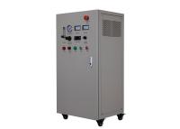 China 10G 50G Industrial Ozone Generator Water Cooling Enamel Stainless Steel for sale