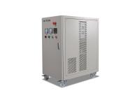 China Corona Discharge Water Ozone Generator For Well Water Treatment for sale