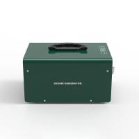 China Portable air purify ozone generator for hotel home office 20g 40g for sale