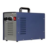 China 3g 5g 6g 7g high quality air cooling ceramic system ozone generator for household cleanr for sale