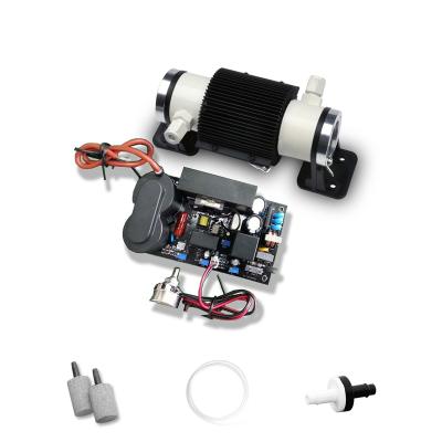 China 1-7g output adjustable ozone machine part ceramic ozone tube with power supply for sale