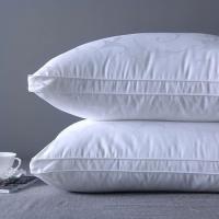 China 100% Cotton Hotel Sleeping Pillow 200TC-1000TC Thread Count for 3-5 Star Standards in Twin to King Sizes for sale