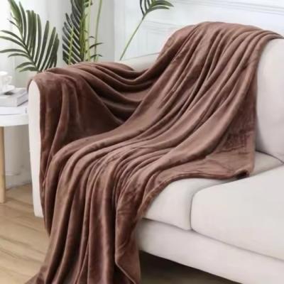 China 350GSM Polar Fleece Blanket - Custom Sizes Single/Twin/Queen/King - White & Color Options - OEM Available for sale