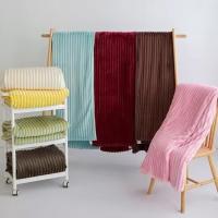 China 350GSM Polar Fleece Blanket - Custom Sizes Single/Twin/Queen/King - White & Color Options - OEM Available for sale