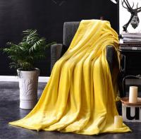 China 350GSM Polar Fleece Blanket - Custom Sizes Single/Twin/Queen/King - White & Color Options - OEM Available for sale