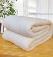 China 100% Polyester Queen Size Coral Fleece Blanket for Hotel & Military Use - Multiple Sizes Available for sale