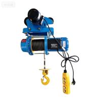 China Compact Wire Rope Electric Hoist 500kg - 1000kg Compact Wire Rope Hoist for sale