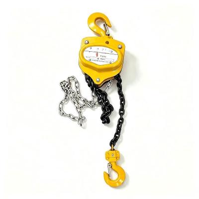 China Lightweight Lifting Chain Hoist Portable Material Handling Hoist Durable for sale