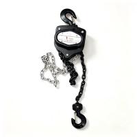 China Lightweight Lifting Chain Hoist Portable Material Handling Hoist Durable for sale