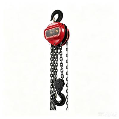 China 3m - 12m Lifting Height Steel Chain Hoist 1t / 2t / 3t / 5t Manual Chain Pulley Hoist for sale