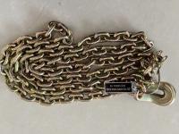 China Galvanized Binder Chains Alloy Steel Cargo Lashing Chain With Grab Hooks for sale