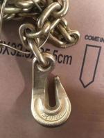China Galvanized Binder Chains Alloy Steel Cargo Lashing Chain With Grab Hooks for sale