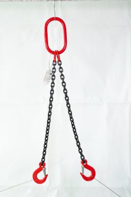 China Customizable Multi Leg Chain Sling 1 / 2 / 3 / 4 / 6 Leg Chain Lifting Sling With Safety Hooks, for sale