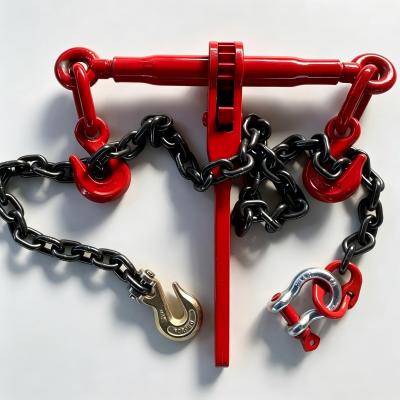 China Ratchet Type Load Binder with G80 Lashing Chain, Cargo Chain Tensioner for Truck Cargo Securing for sale