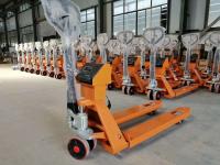 China High Precision Industrial Pallet Truck 2000kgs 3000kgs Hydraulic Pallet Jack With Built In Scale for sale
