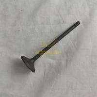 China 3142A181 Engine Valve Exhaust Perkins C7.1 C6.6 C4.4 1104 1106 Diesel Engine Parts for sale